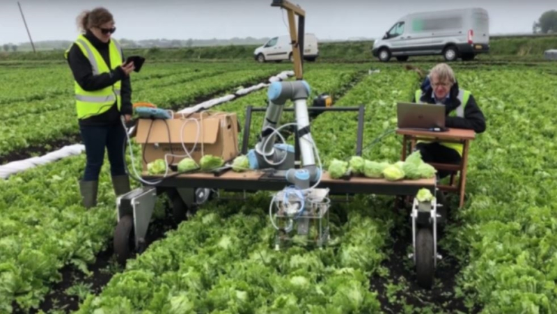 재배보다 중요한 수확, '베지봇(vegebot)' 탄생한 이유는